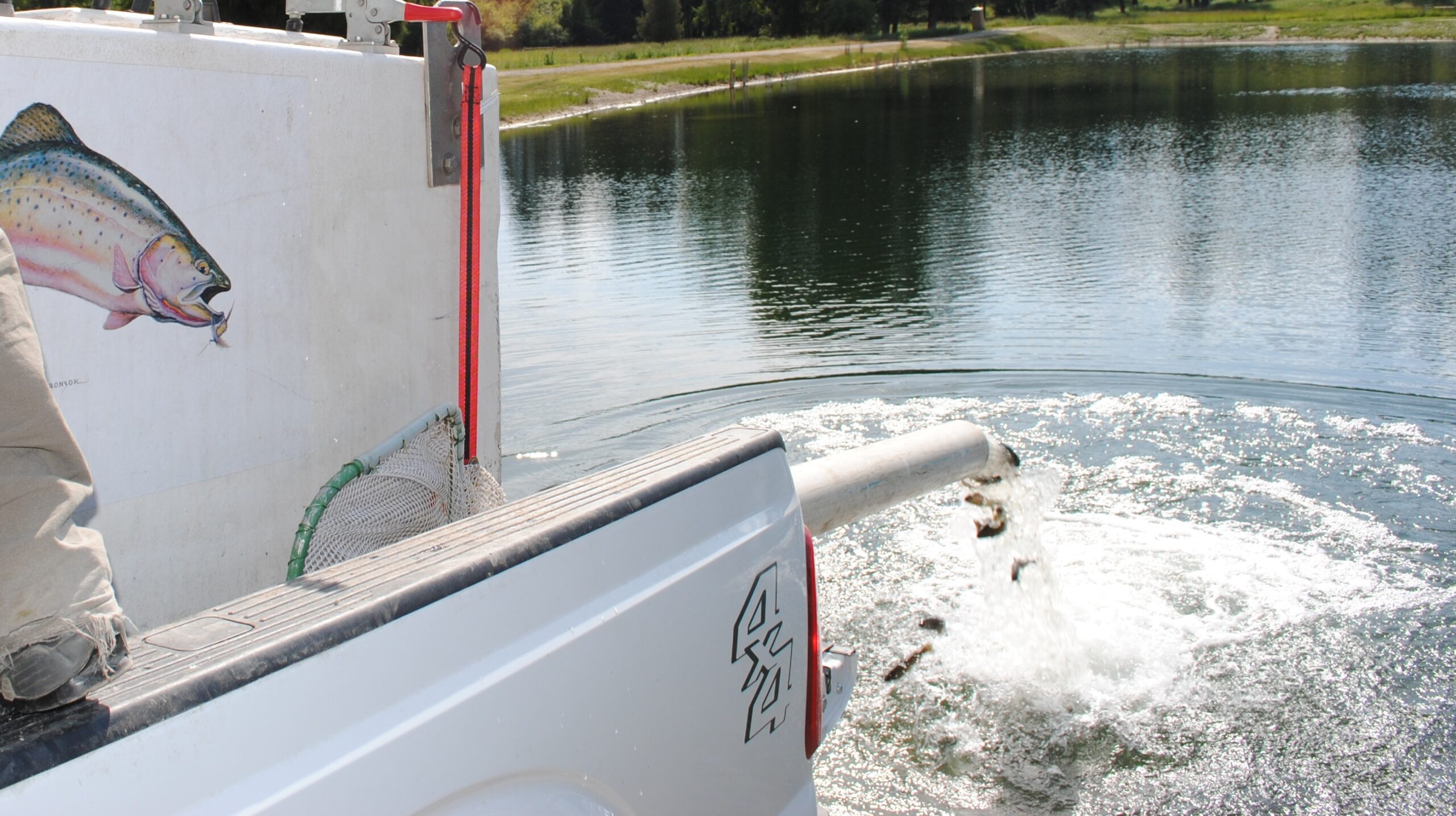 Fish Stocking in Farm Ponds - Grit